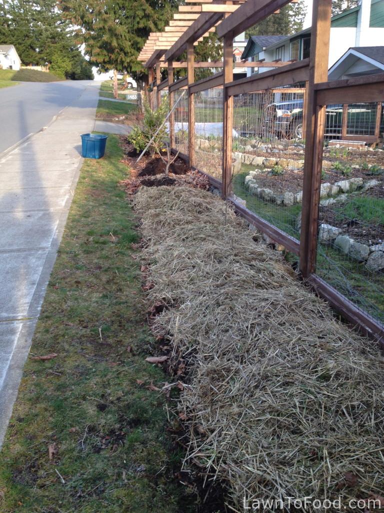 Think Outside the Yard - Lawn to FoodLawn to Food