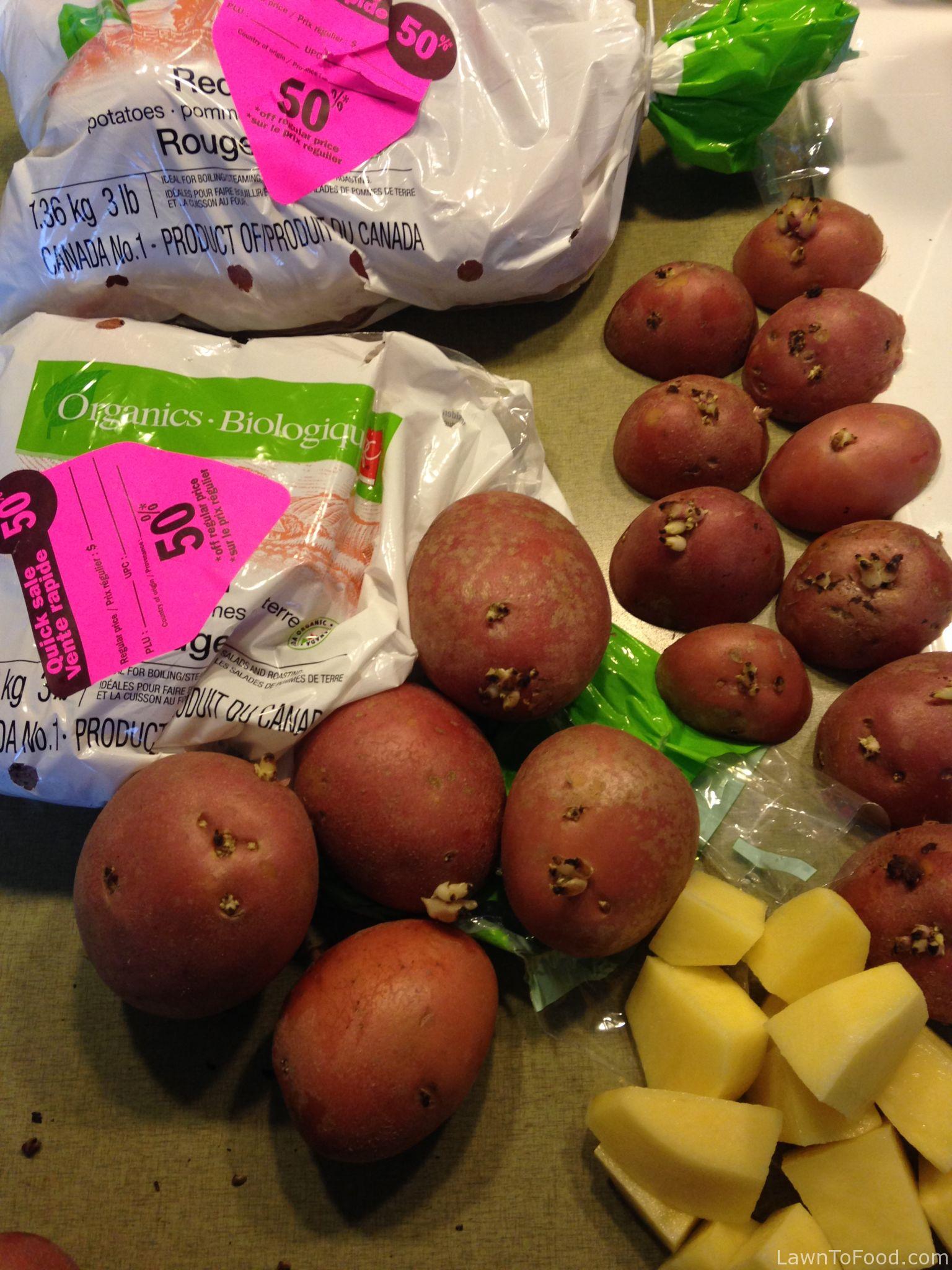 On-Special Spuds - Lawn to FoodLawn to Food