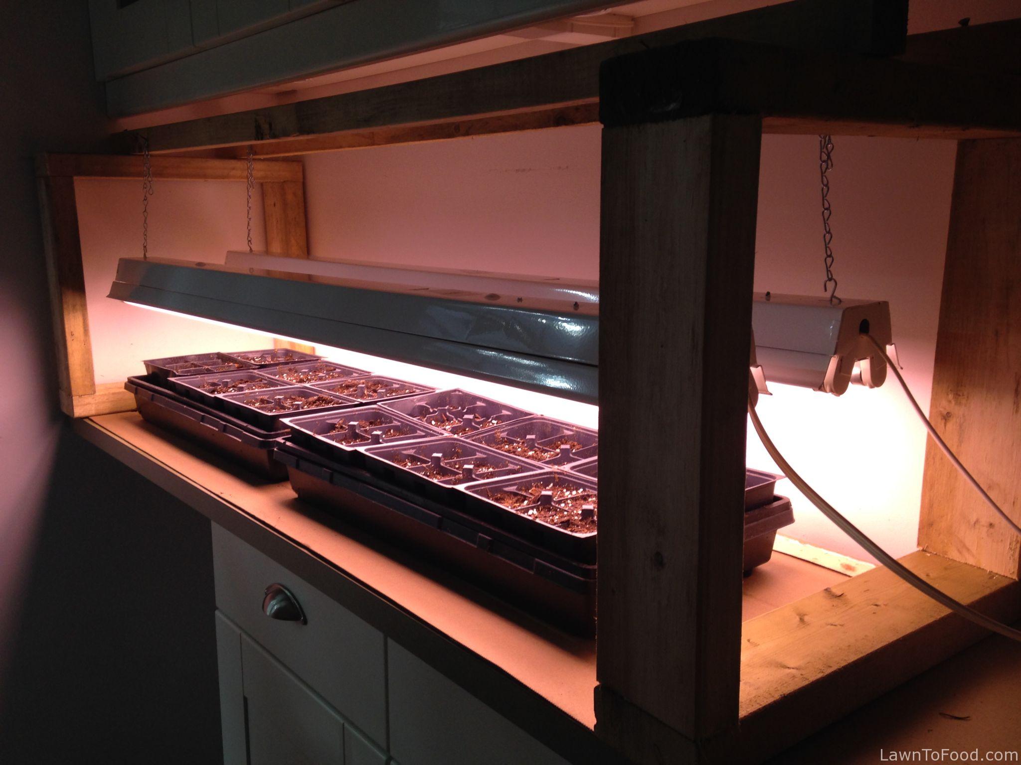HomeGrown GrowLights - Lawn to FoodLawn to Food