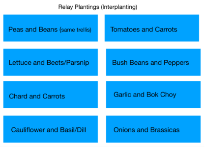 relay-planting - Lawn to FoodLawn to Food
