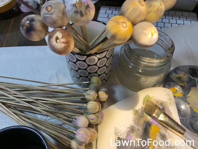 poppy-paint - Lawn to FoodLawn to Food